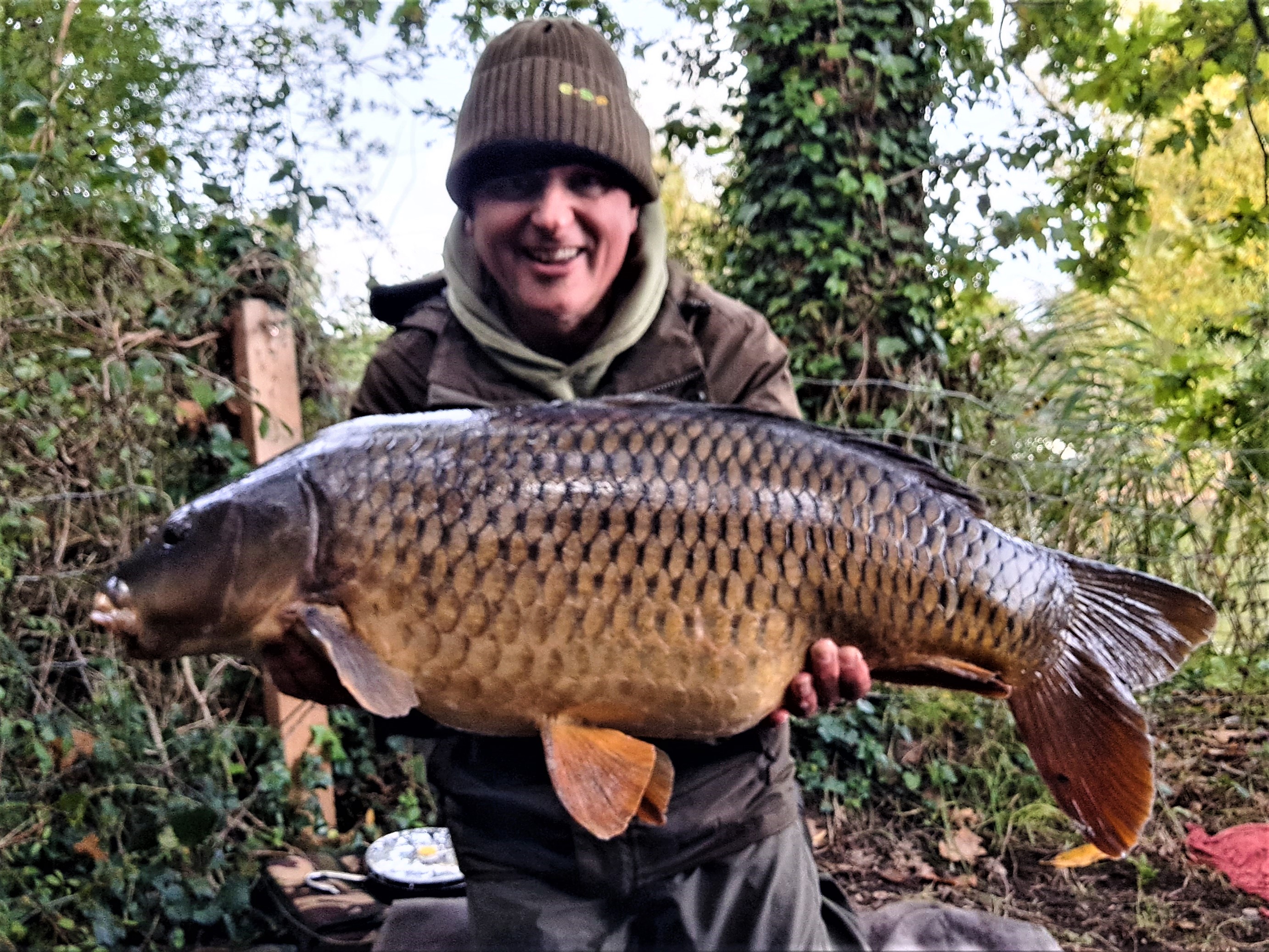 Mint condition Common | Total Carp